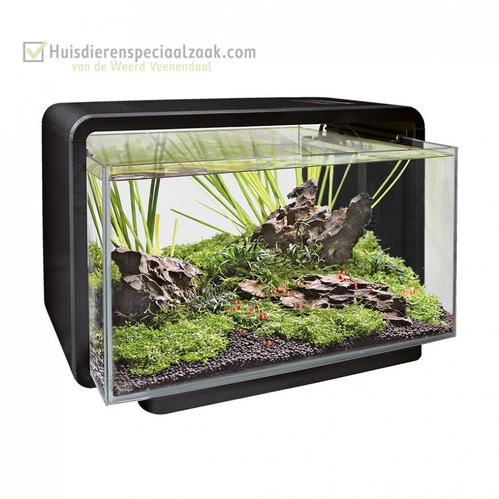 Superfish Home