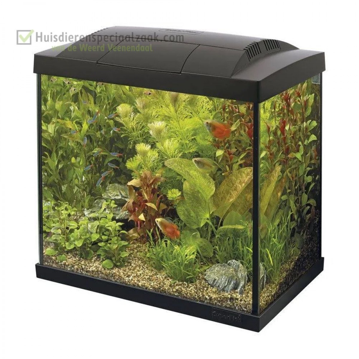 Superfish start 50 LED tropisch zwart