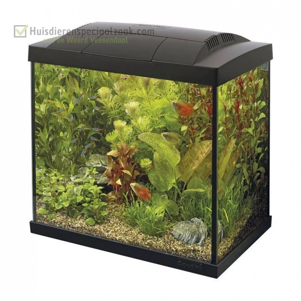 Superfish start 70 tropisch zwart